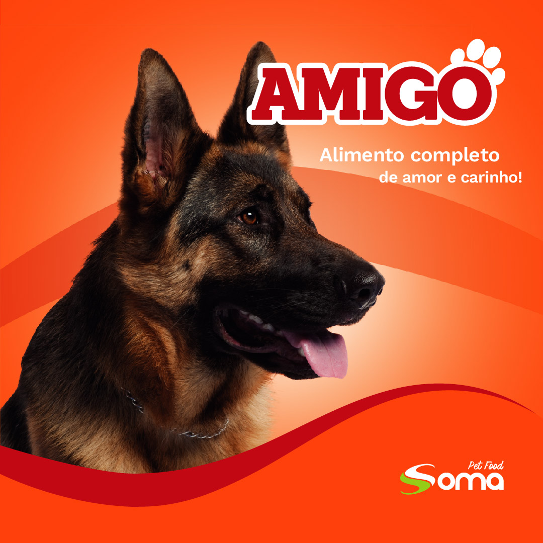 Materiais Pet - Soma