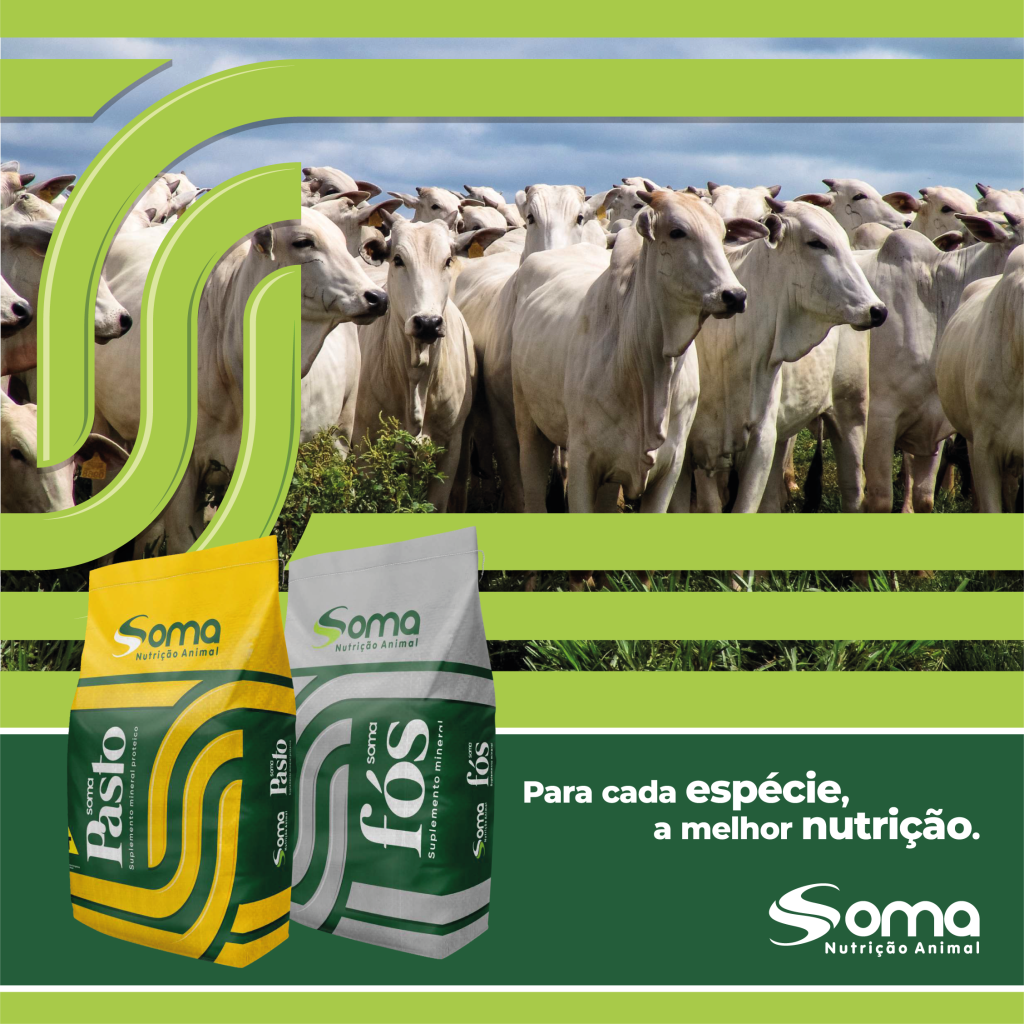 Materiais Insumos - Soma